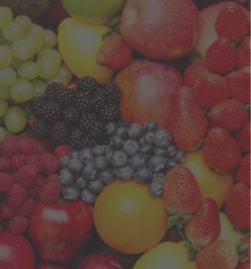 Fruits | harvest Fresh Providores
